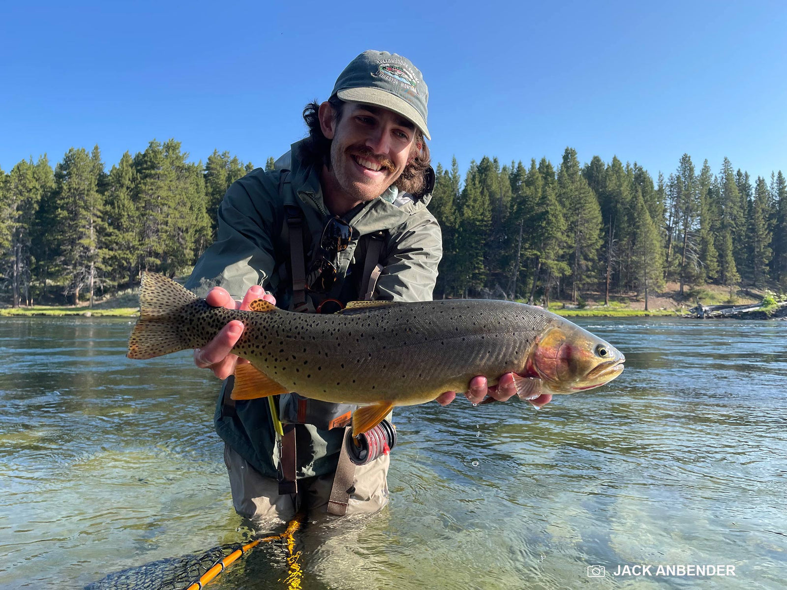 Contact Yellowstone Angler